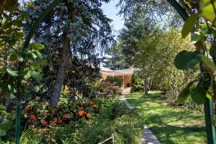 Stay – Pizzini Wines